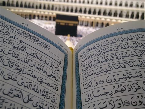 10 Raisons Dapprendre La Langue Arabe En 2020 10 Raisonsfr