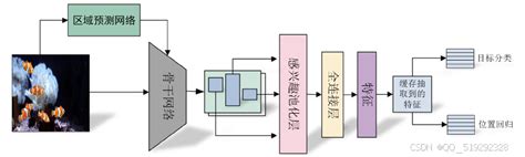 【毕业设计】基于卷积神经网络的观赏鱼分类识别系统 深度学习 目标检测 Python基于卷积神经网络的鱼类品种识别系统 Csdn博客
