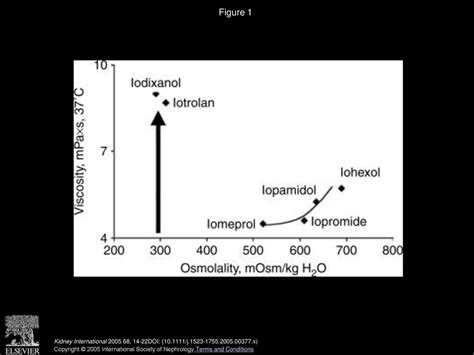 Pathophysiology Of Contrast Mediuminduced Nephropathy Ppt Download