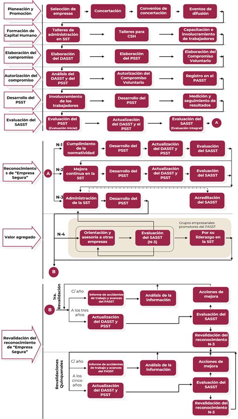 Programa De Autogestión En Seguridad Y Salud En El Trabajo