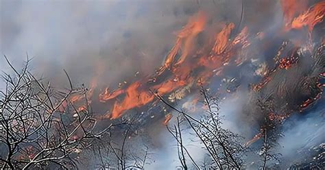 وقوع آتش‌سوزی گسترده در دل جنگل‌های هیرکانی مازندران