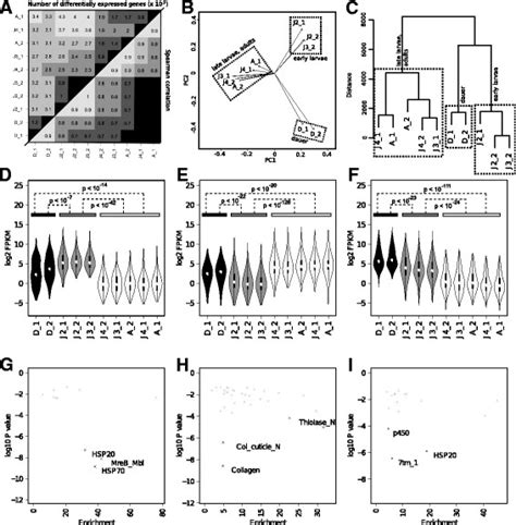 Comparison And Clustering Of Developmental Transcriptomes A