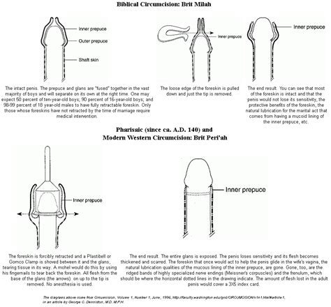Pictures Thread 6 Page 982 Stormfront