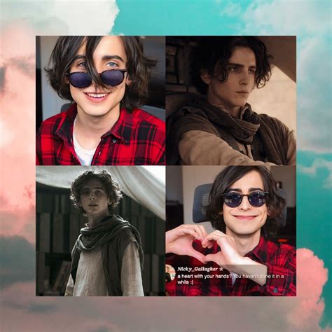 Fondo O Foto De Aidan Gallagher Y Timothée Chalamet Foto Timothee