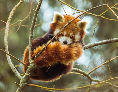 Pandas Series Object A Helpful Guide With Examples Be On The Right