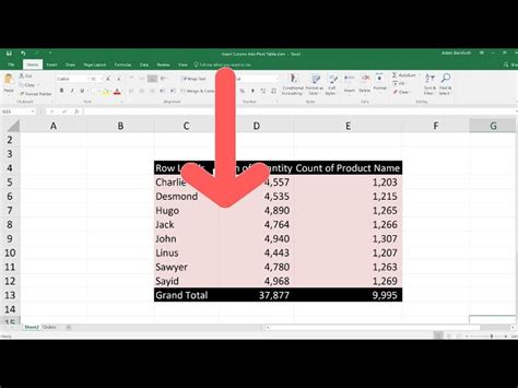 How To Insert Lines In Pivot Table - Infoupdate.org