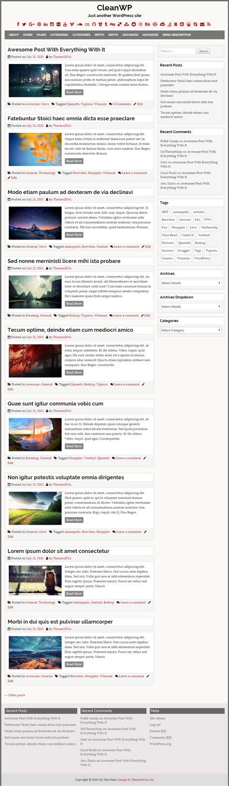 CleanWP WordPress Theme ThemesDNA Com