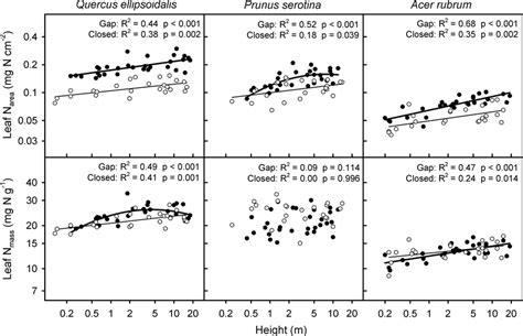 Relationships Between Leaf N Content Expressed On The Basis Of Leaf Download Scientific