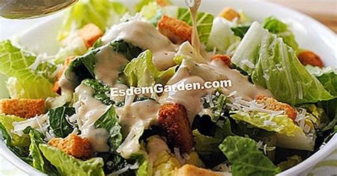 10 стайни растения лесни за успех 🌿 Информация За Градинарство И Озеленяване 2025