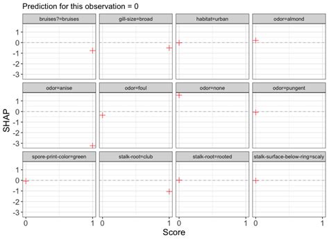 Dataframe Modifying Objects In R So That They Are Compatible For