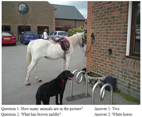 Example Of Image And Free Form Questions Retrieved From The Visual