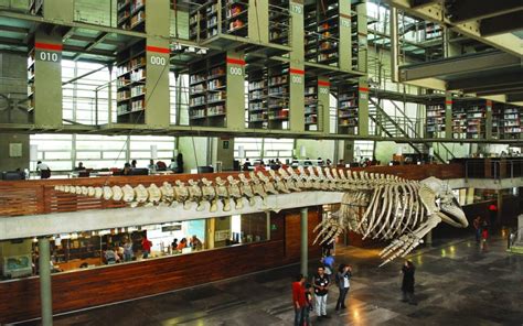 La Biblioteca Vasconcelos Es Una De Las Mejores Construcciones Del