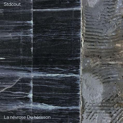 Stream Stdcout Too Much By 𝖇𝖘𝖚𝖐𝖎𝖕𝖕𝖎𝖓 Listen Online For Free On Soundcloud