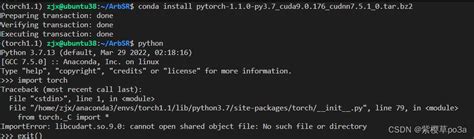 安装torch1 1 0过程 csdn博客
