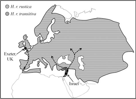 Figure 1 From Population Genetics And Morphological Comparisons Of