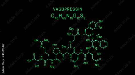 Vasopressin Structure