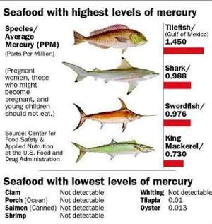 Mercury Fish HealthWorks Malaysia