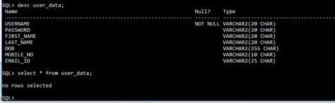 login example using servlet jsp oracle db and hibernate framework