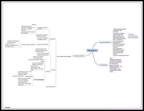 Skin Tumour 1 Ppt