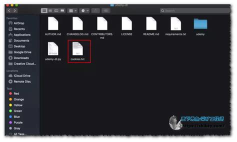 免费获得Udemy付费课程 年目前有效的办法 天下无鱼 资源博客
