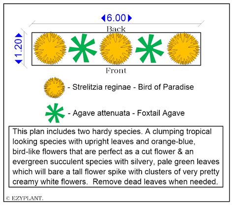 Rectangle Garden Bed Plan With Exotic Species Members Only Ezyplant