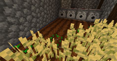 Bug Pflanzen Hören Auf Zu Wachsen Hilfe Minecraft Forum