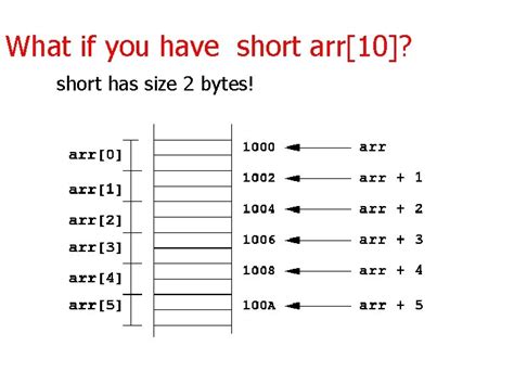 C Type Sizes In Memory Pointers Assembly Language