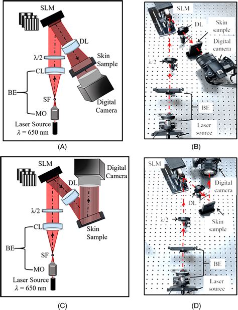 The Proposed Spatial Frequency Domain Imaging Systems A Schematic