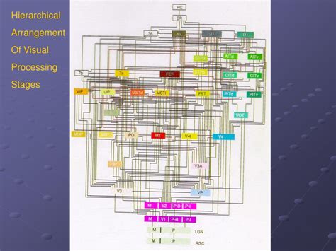 Ppt Artificial Vs Biological Neural Networks Models And Debates Powerpoint Presentation Id