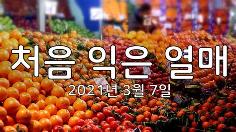 처음 익은 열매 Youtube