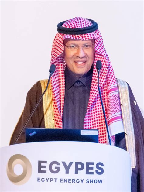 كلها حلوة حديث الأمير عبد العزيز بن سلمان عن مصر يثير احتفاءً