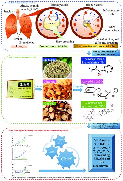 Schematic Diagram Of Research Methodology And Proposed Model Of Sad Download Scientific Diagram