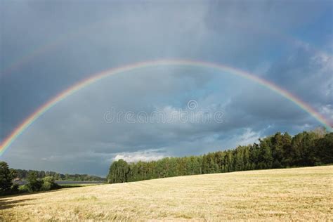 A Rainbow Over Field During Summer Stock Image Image Of Tree Blue