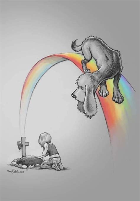 Passingpaws Petcremations Petloss Griefsupport Pets Cats Dogs