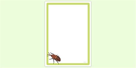 Bug Page Border Page Border Twinkl Teacher Made
