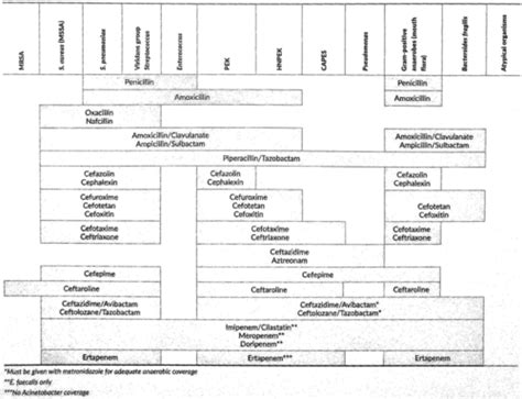 Coverage By Microbe Flashcards Quizlet