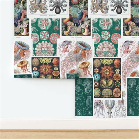 Vintage Sea Creature Classification Wallpaper Spoonflower