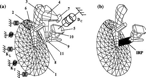 Figure 1 From Finite Element Method Analysis Of The Normal And Reconstructed Middle Ear