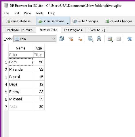 Inserting Values Into Database Table HolyPython Com