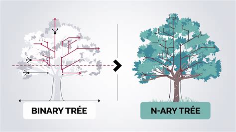 Définition Arborescence Tout Savoir Sur La Structure En Arbre