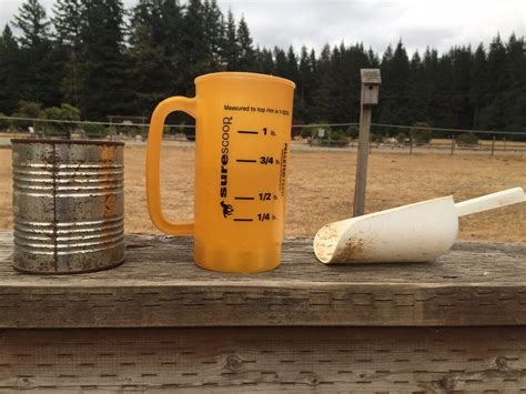 How Big Is A Feed Scoop At Michael Berryhill Blog