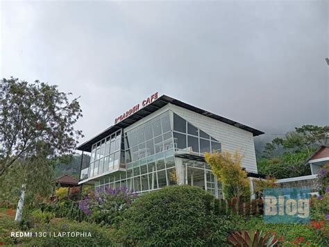 Review Kamera Xiaomi Redmi 13C Berkekuatan 50MP Lebih Bagus Dari Pesaingnya Tuxlin Blog