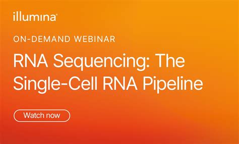 Are You Unsure On The Single Cell Rna Pipeline Join This Short Webinar To Learn More About