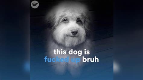 All Entries Meme Confirmed Animal Entries Know Your Meme