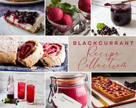 Best Blackcurrant Recipe Collection Only Crumbs Remain