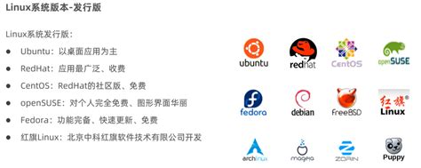 linux操作系统详解：从安装到企业应用 csdn博客