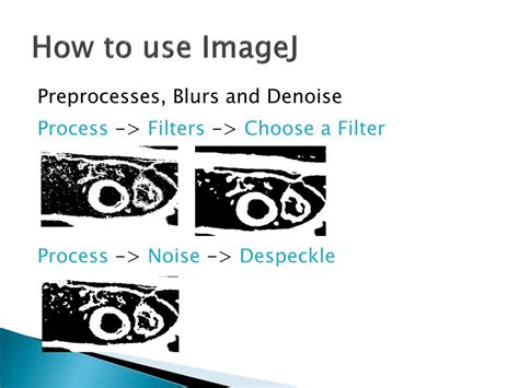 ppt imagej tutorial powerpoint presentation free download id 5457830