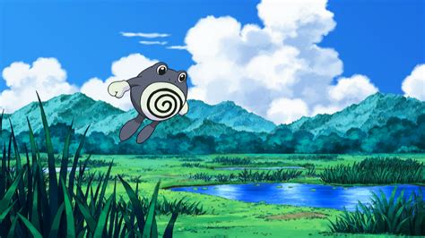 File Poliwhirl Anime Png Bulbapedia The Community Driven Pokémon