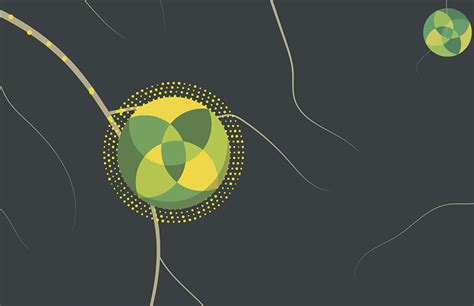 The Science Behind Smart Nutrition™ Map Mst® Smart Nutrition