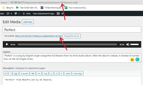 How To Add Audio Files And Create Playlists In Wordpress Ltheme